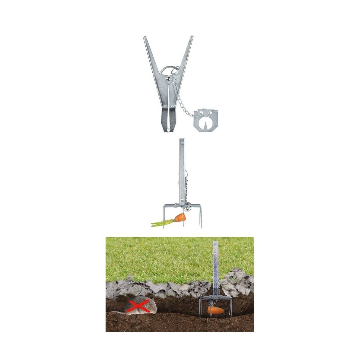 Vole Traps - Set of 4 Effective and Reusable Tongs | BirdGard Iberia