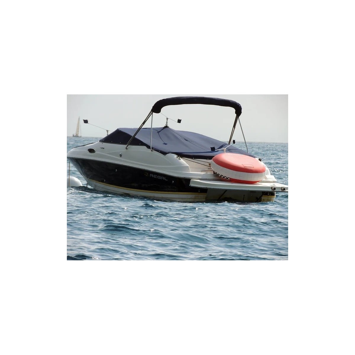 StopGull Air - Seagull Repellent for Boats - BirdGard Iberia