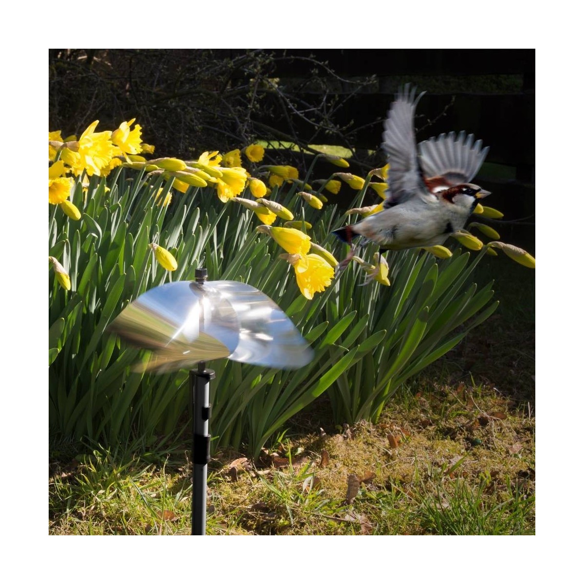 Bird-Scare Wind Spinners | Set of 3 | BirdGard Iberia