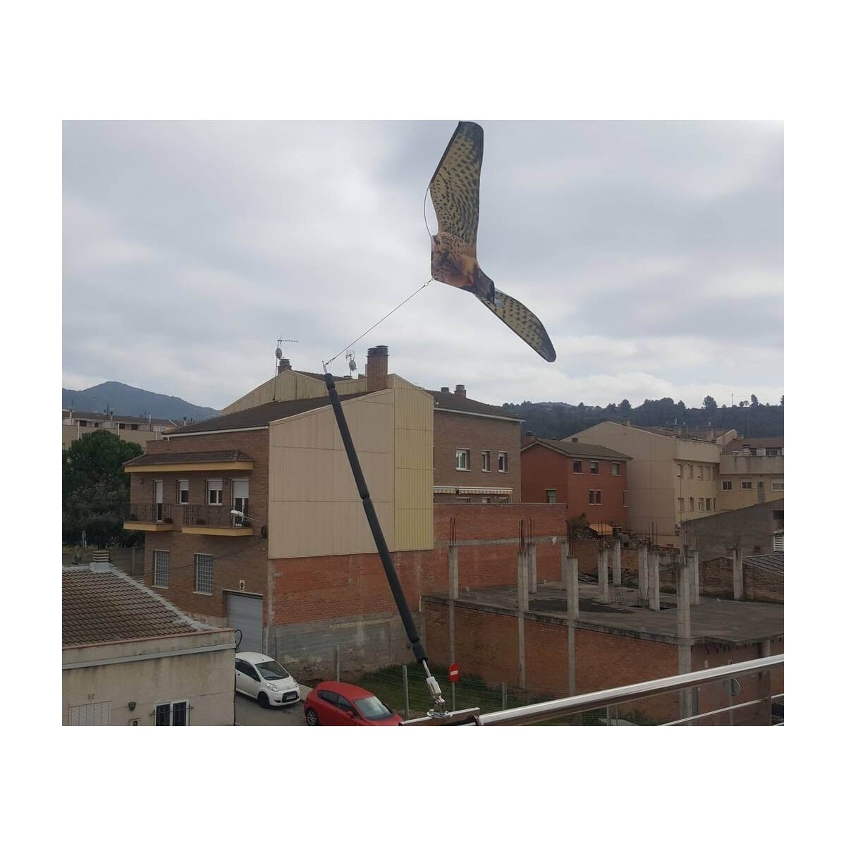 Eolo Hawk ScareCrow for Balcony