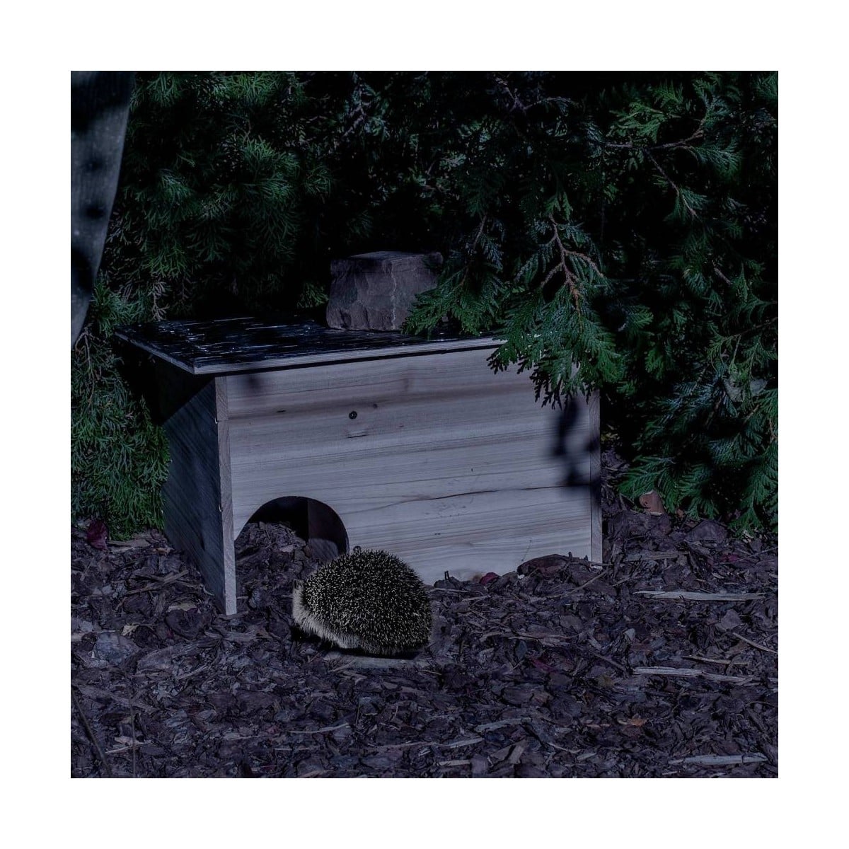 Hedgehog House | DIY Assembly Kit | Safe Shelter | BirdGard Iberia