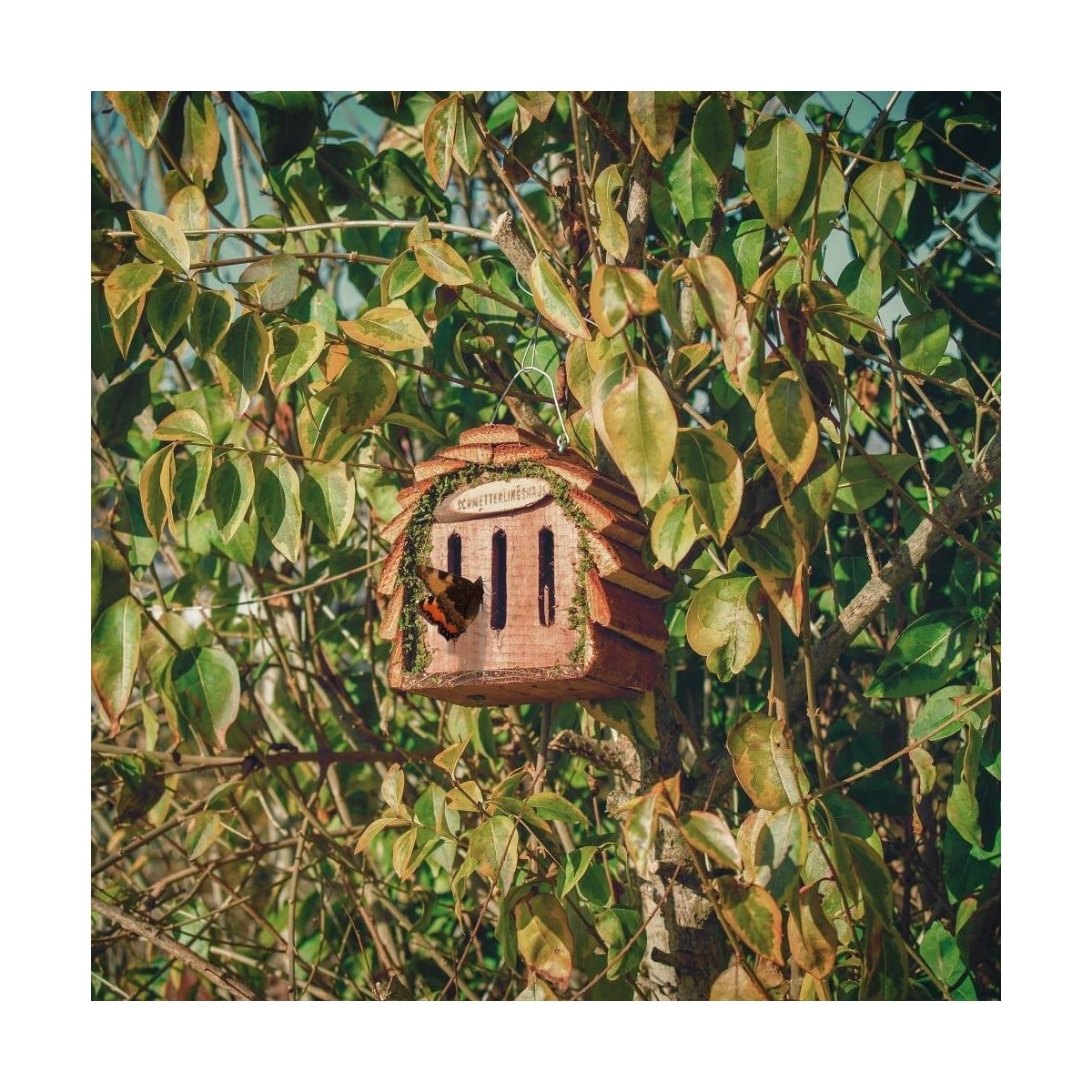 Butterfly House | Natural Shelter for Your Garden