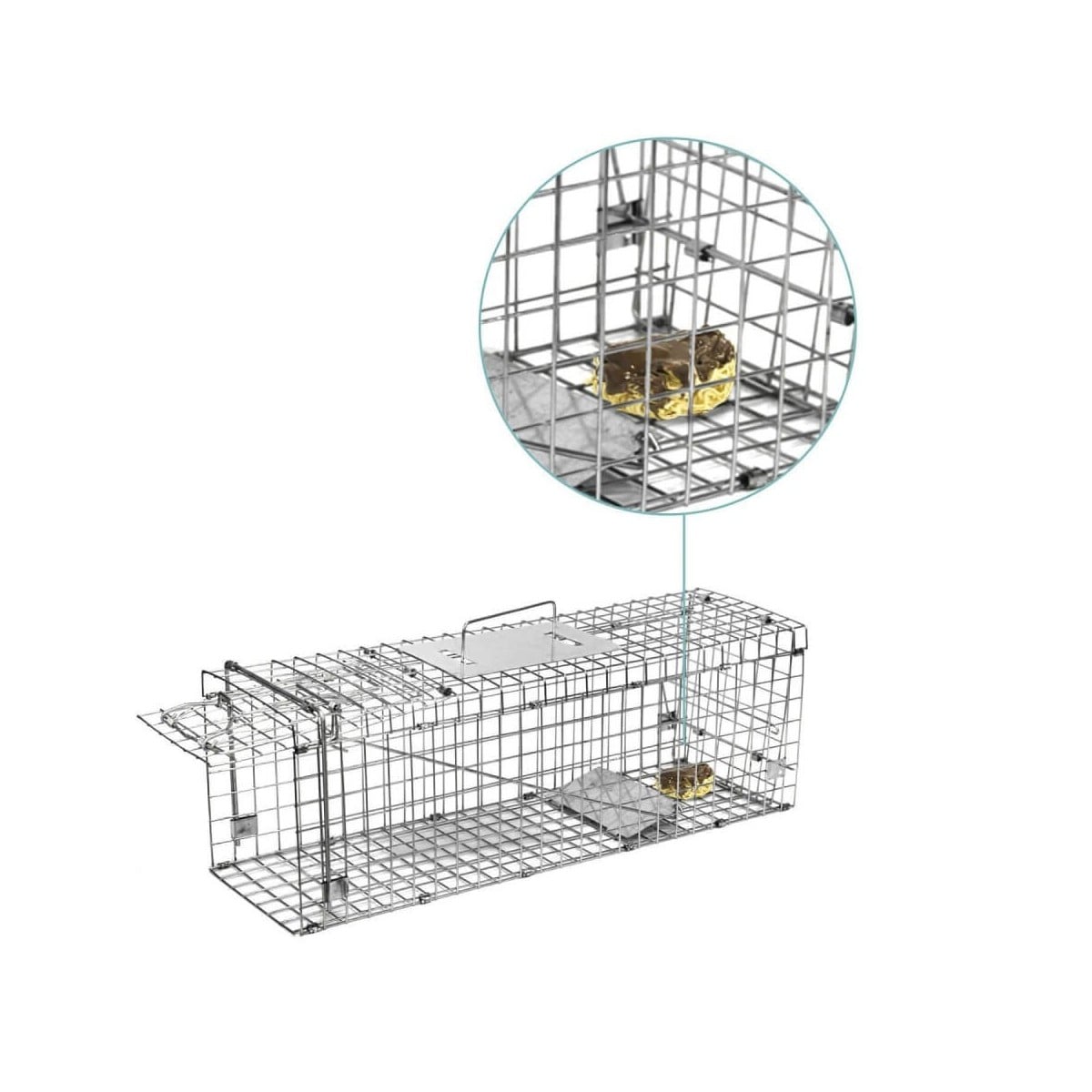 Folding Trap Cage - Live Animal Trap - BirdGard Iberia