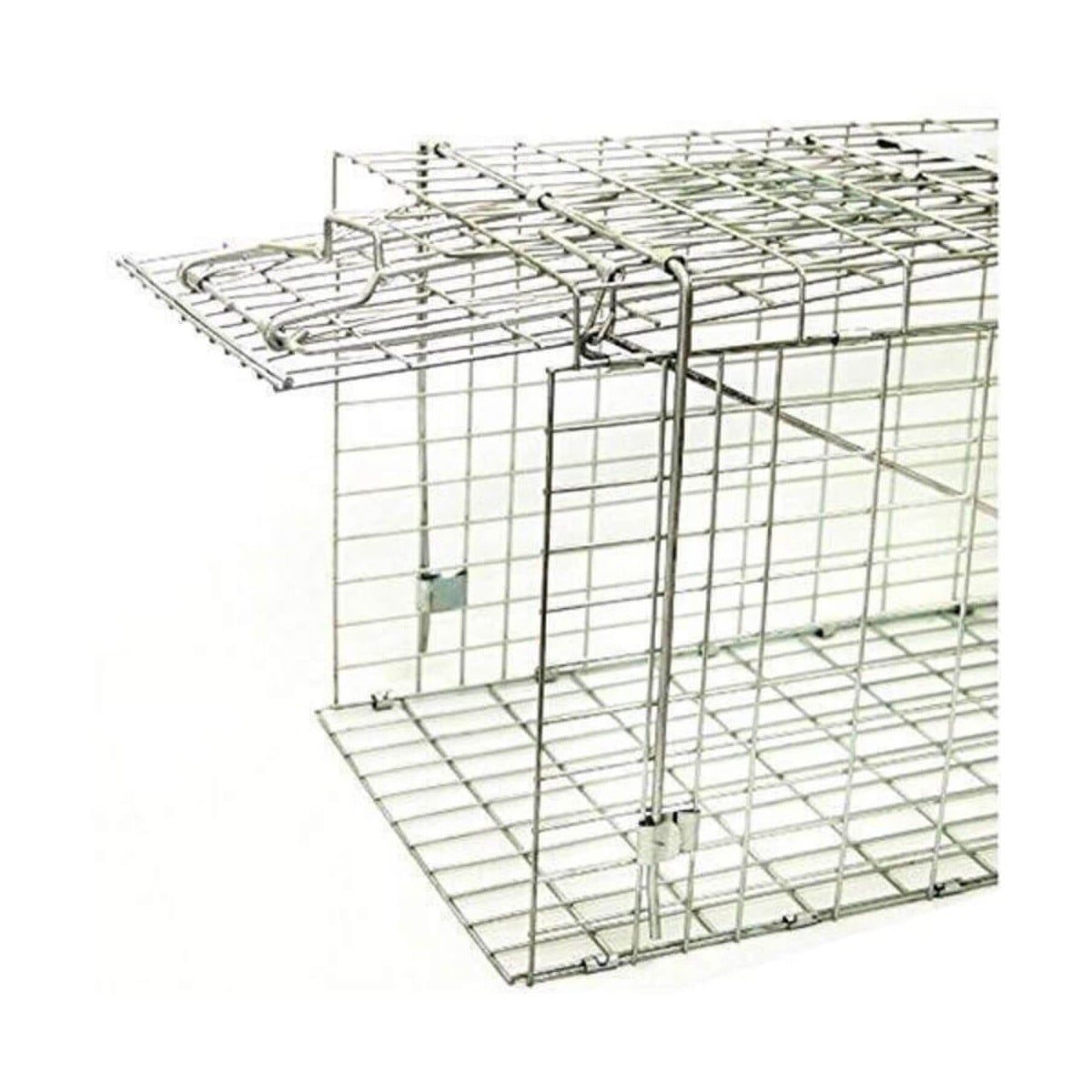 Folding Trap Cage - Live Animal Trap - BirdGard Iberia