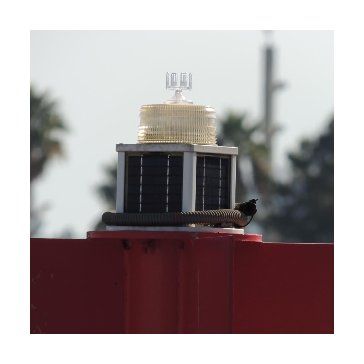 StopGull S27 - Seagull Deterrent - BirdGard Iberia