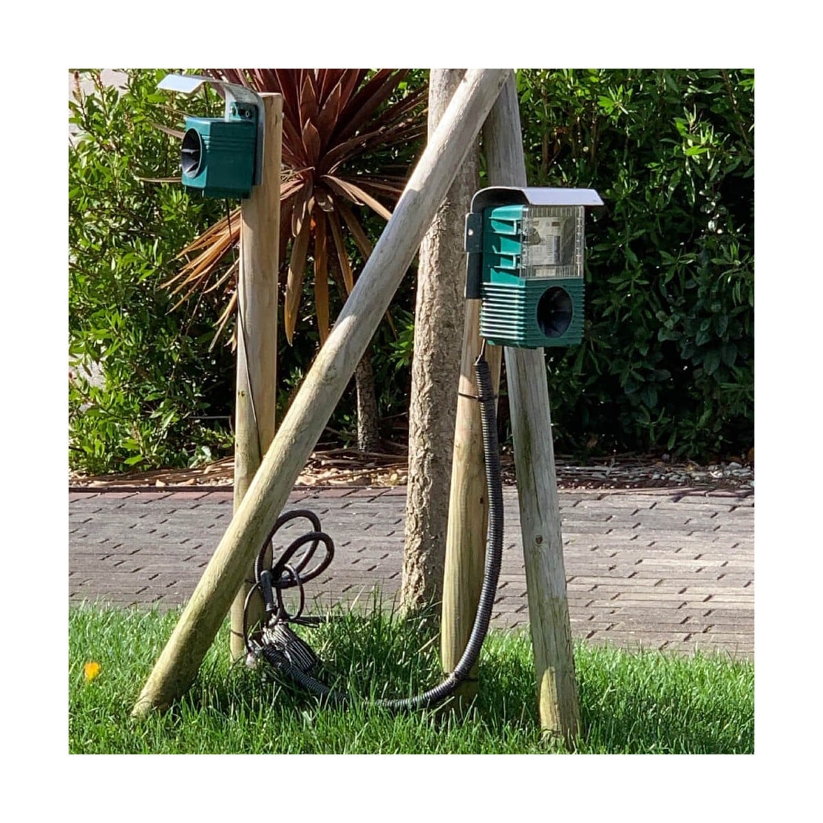 Bird Gard Pro. Electronic Bird Repeller. WK0033 - BirdXPeller Pro