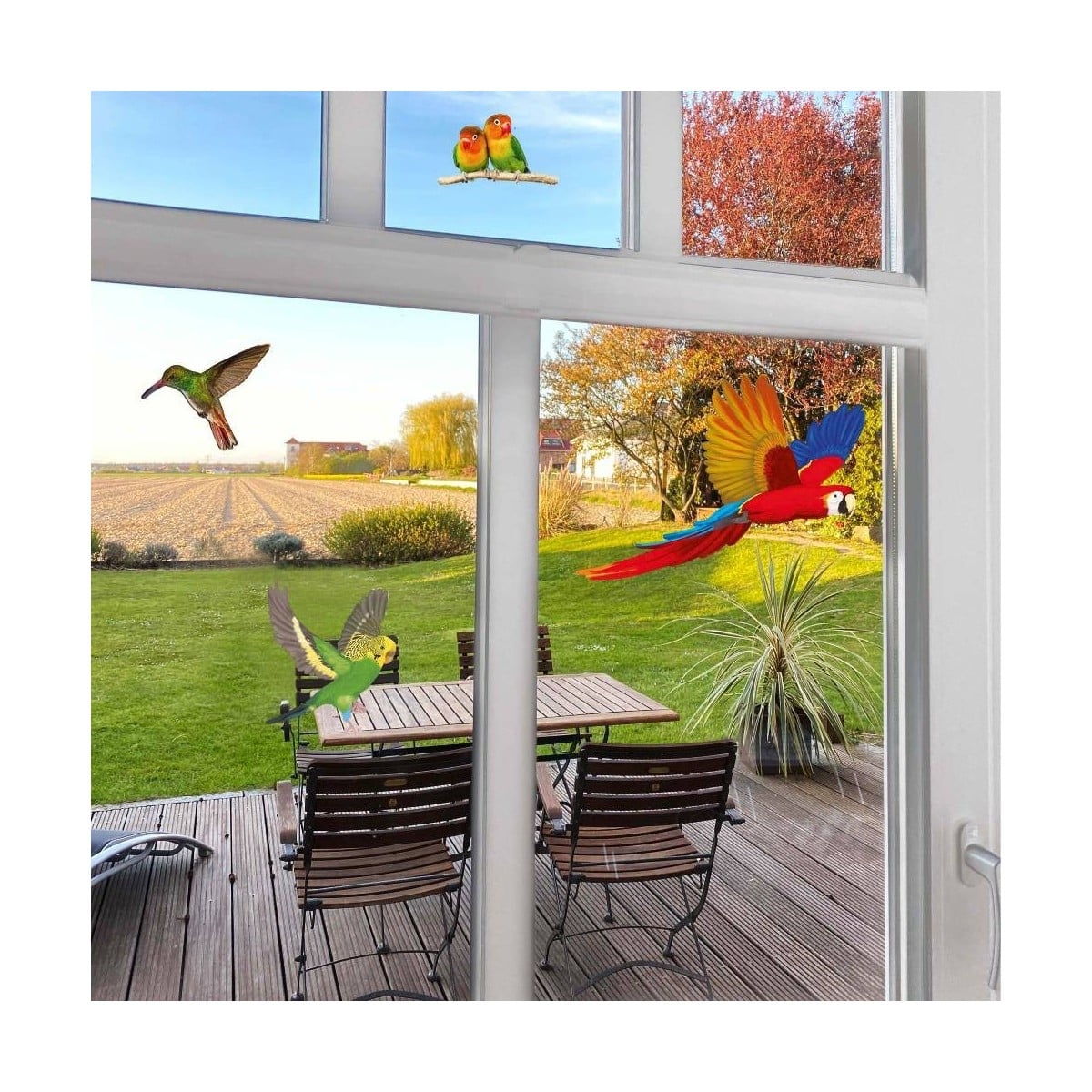 Window Decals for Birds - They prevent birds from hitting windows.