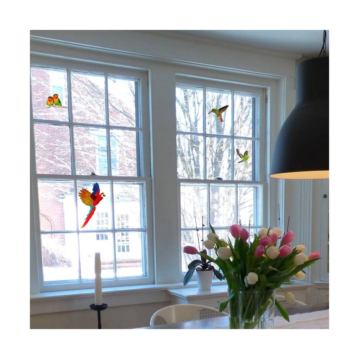 Window Decals for Birds - They prevent birds from hitting windows.