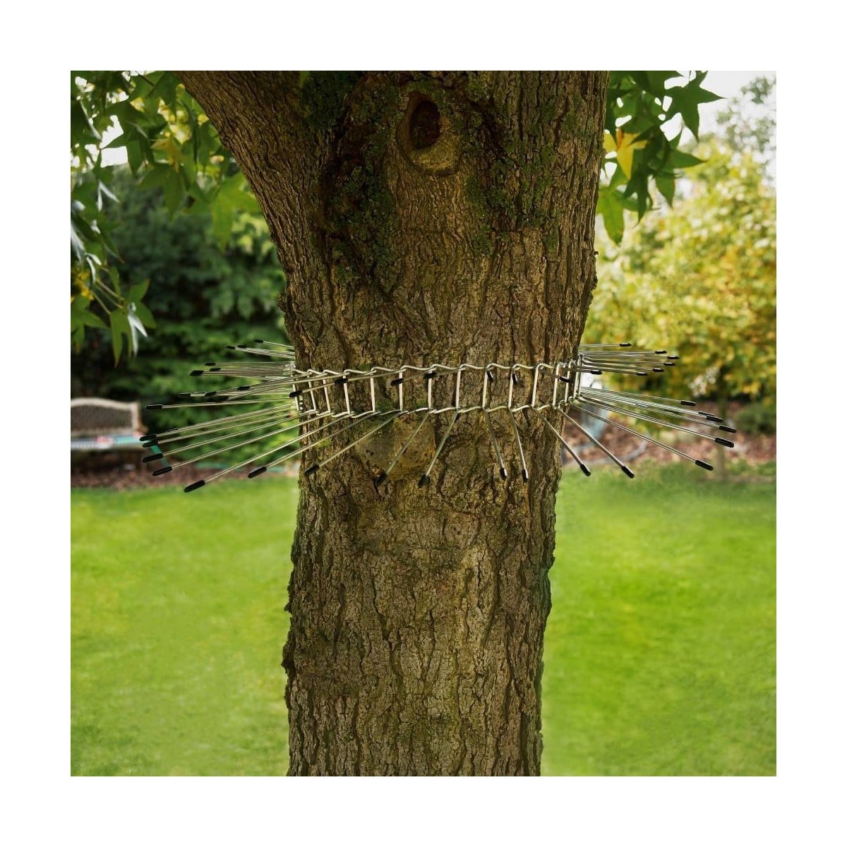 Protector de Árbol contra Gatos - Evita que tu Gato se suba al Árbol