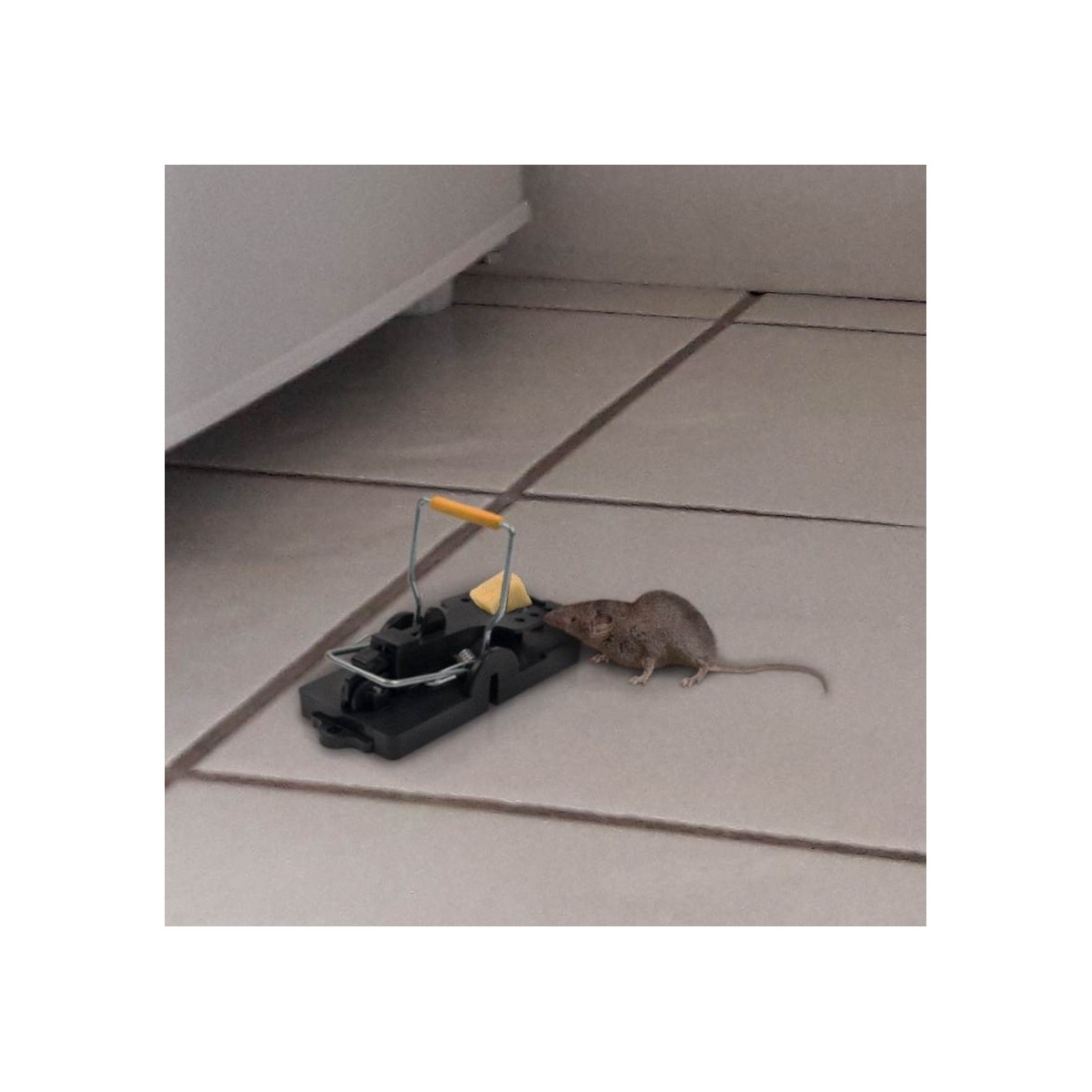 Mouse Trap - Set of 2 - BirdGard Iberia