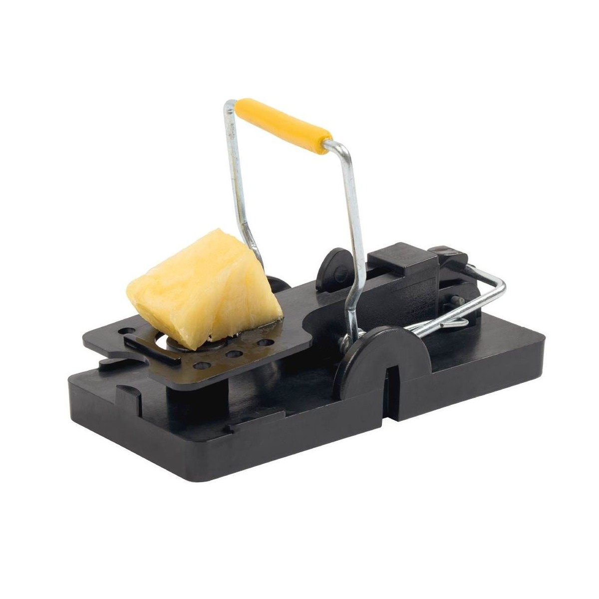 Mouse Trap - Set of 2 - BirdGard Iberia