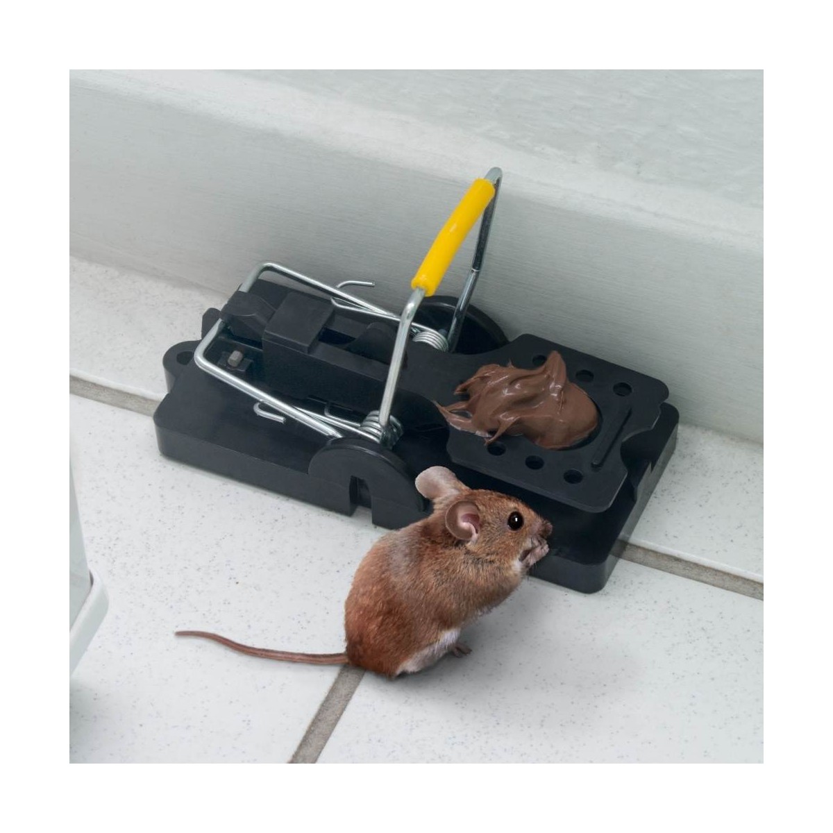 Mouse Trap - Set of 2 - BirdGard Iberia