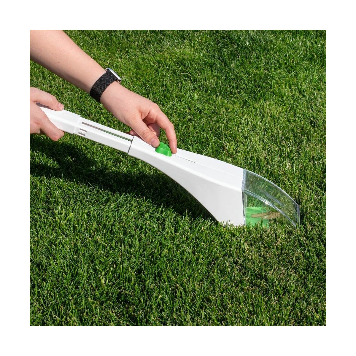 Atrapainsectos - Con mango telescópico y lupa - BirdGard Iberia