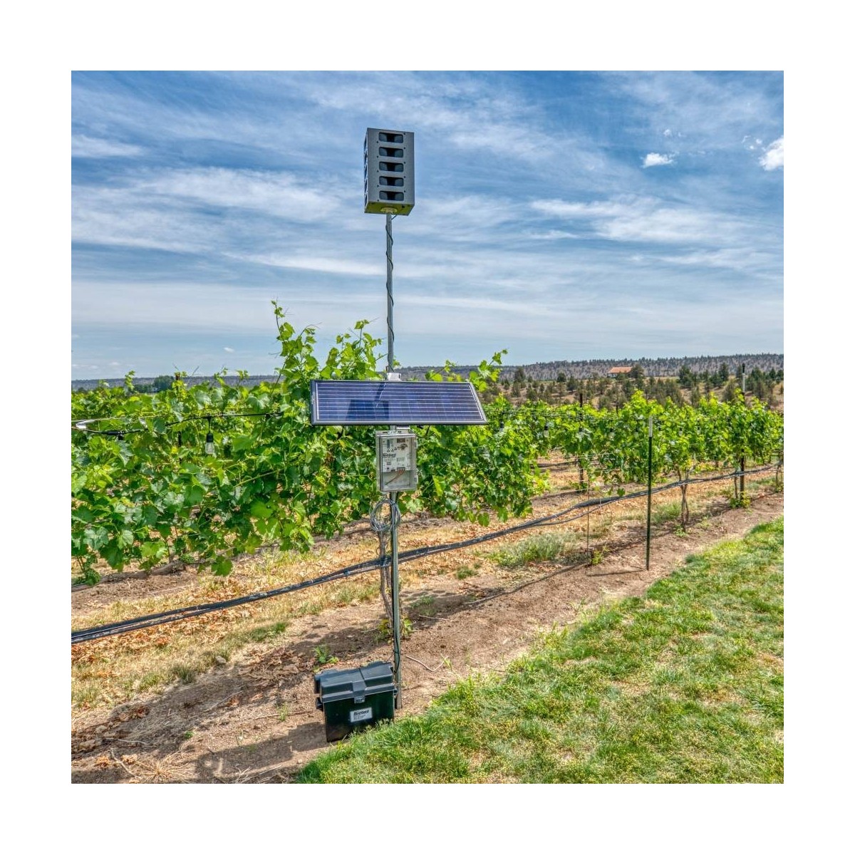 Bird Gard Super Pro Amp - Mega Blaster Pro