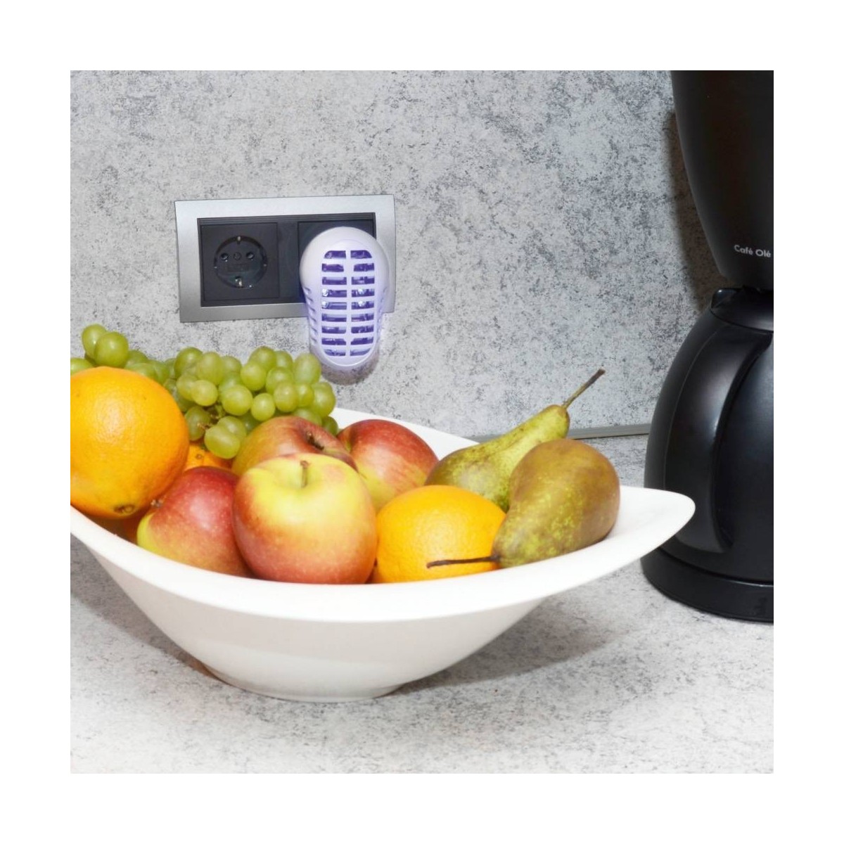 Fruit Fly Catcher. Effective and Safe Elimination | BirdGard Iberia