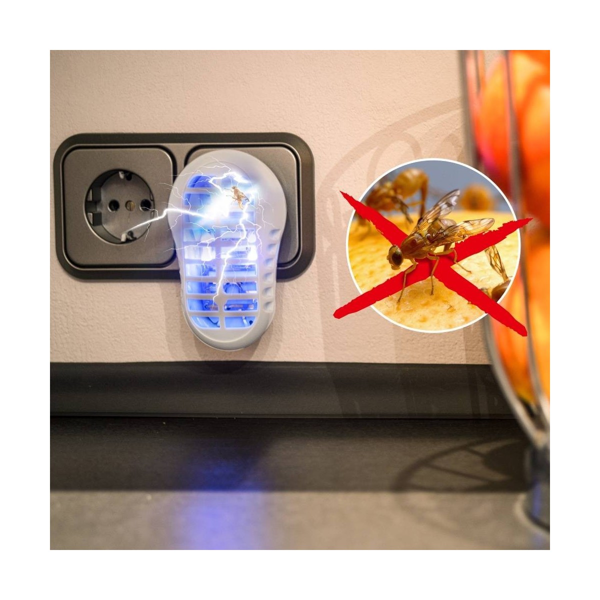 Fruit Fly Catcher. Effective and Safe Elimination | BirdGard Iberia