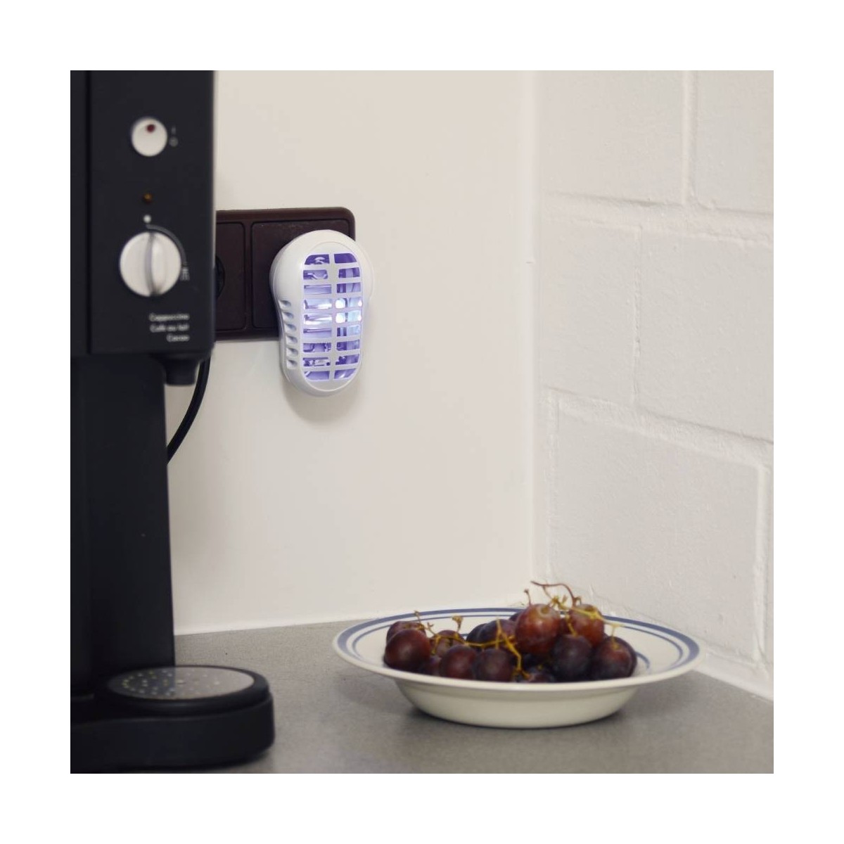 Fruit Fly Catcher. Effective and Safe Elimination | BirdGard Iberia