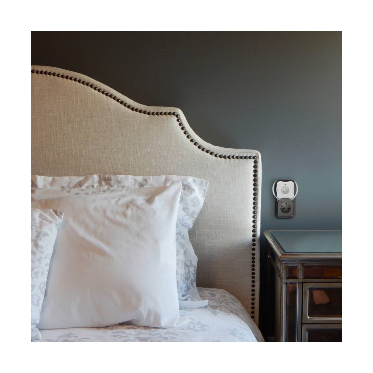 Spider Detterent - Ultrasonic - Effective and Safe | BirdGard Iberia