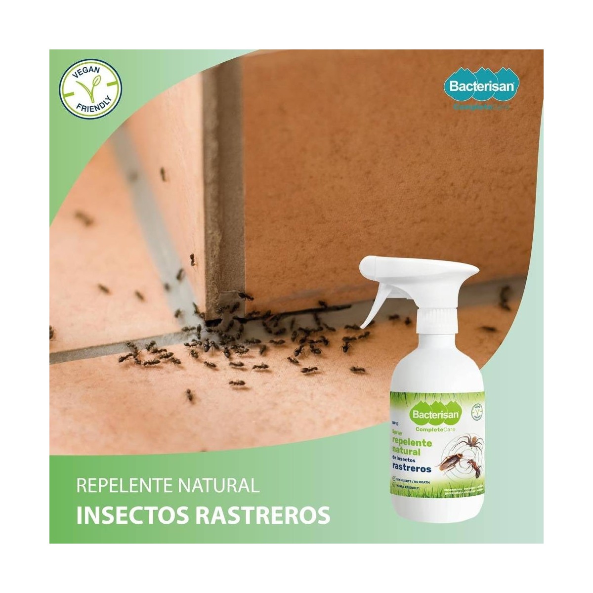 Bacterisan - Repelente Natural Insectos Rastreros: Cucarachas, Hormigas...