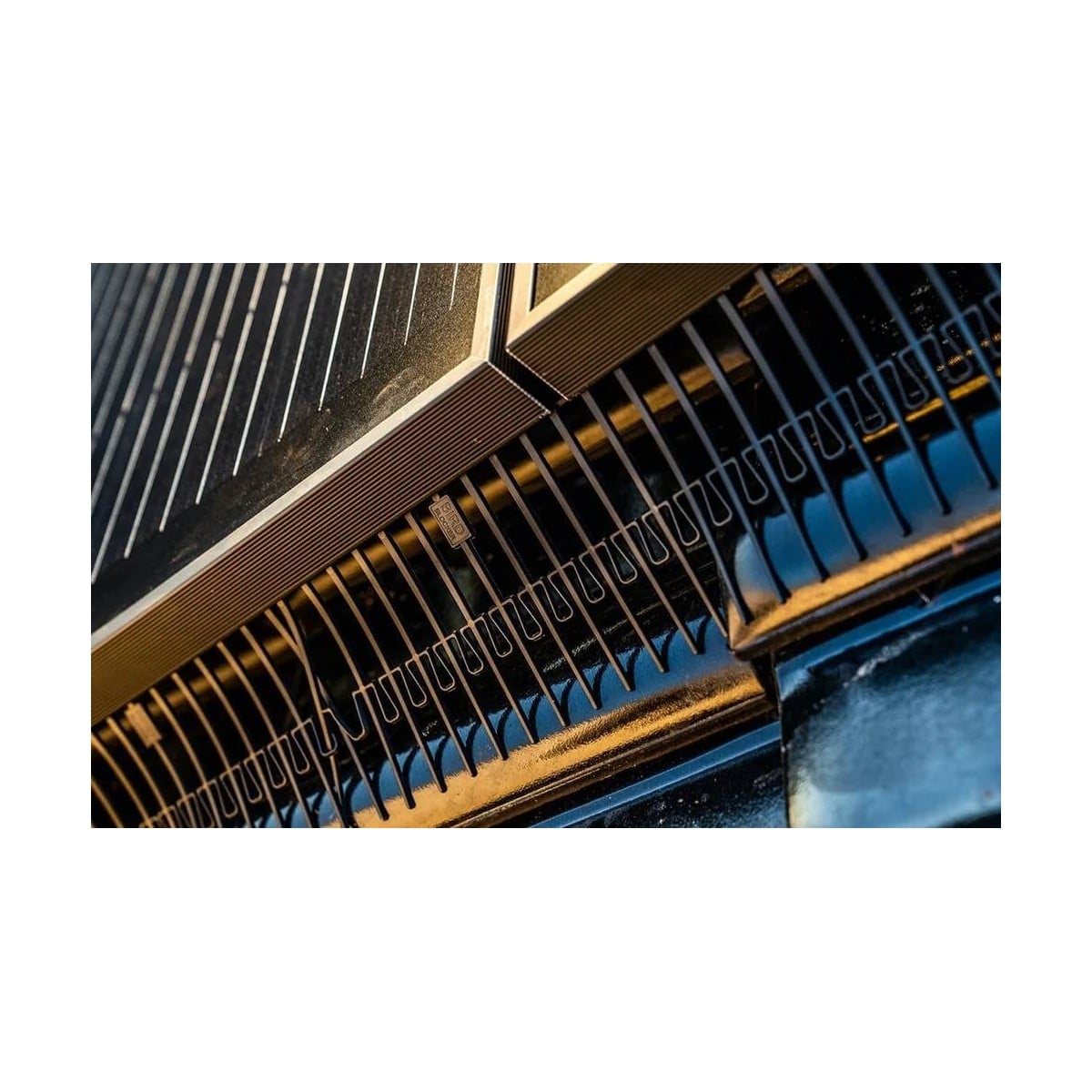 BirdBlocker | Protect Your Solar Panels against Bird Nests