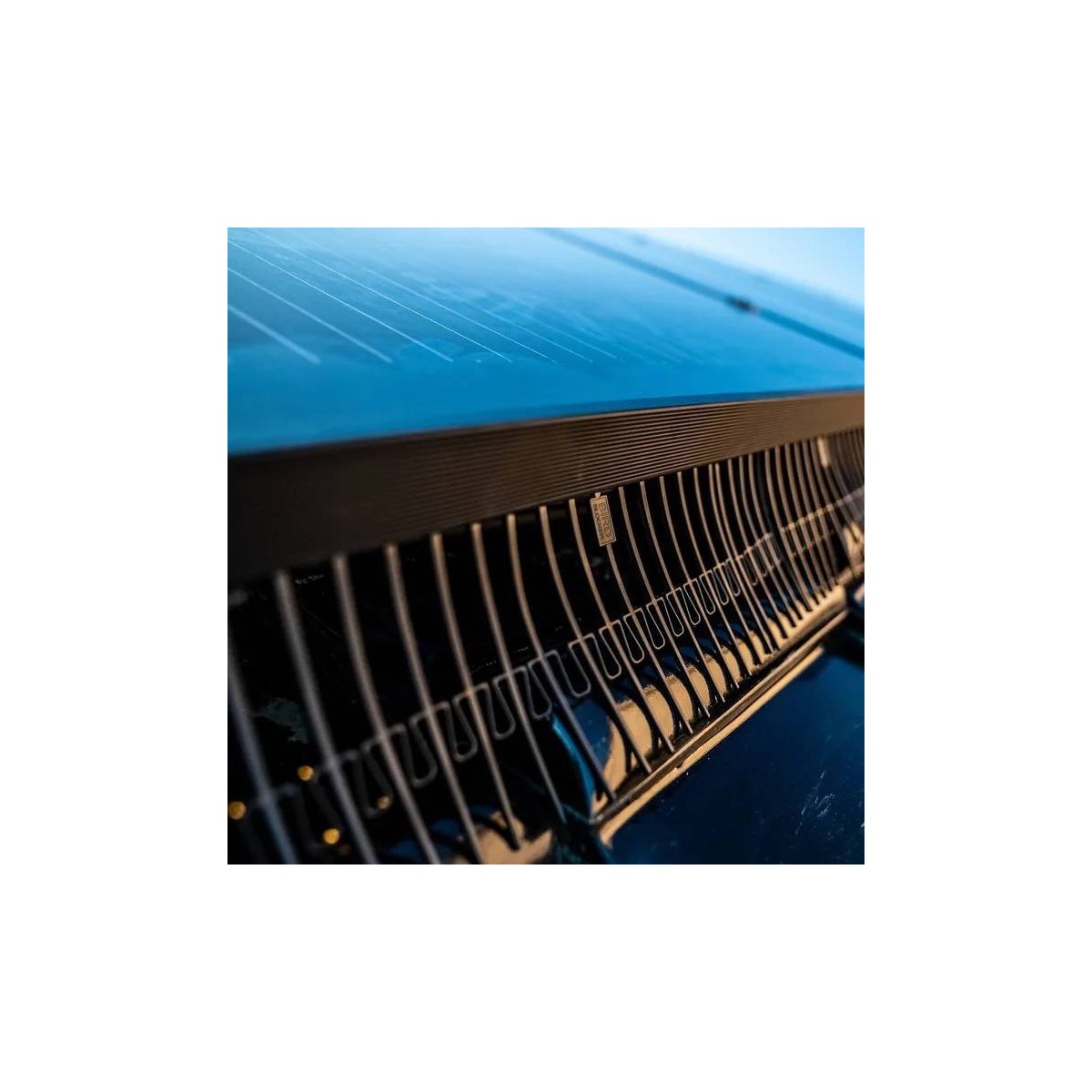 BirdBlocker | Protect Your Solar Panels against Bird Nests