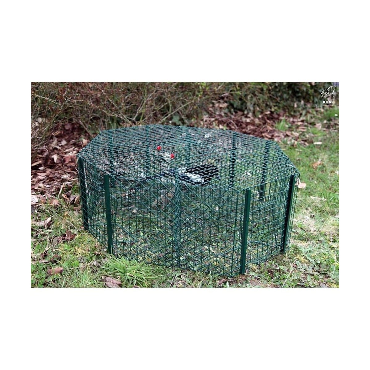 Trap Cage for Magpies, Pigeons, Crows - Octagonal| BirdGard Iberia