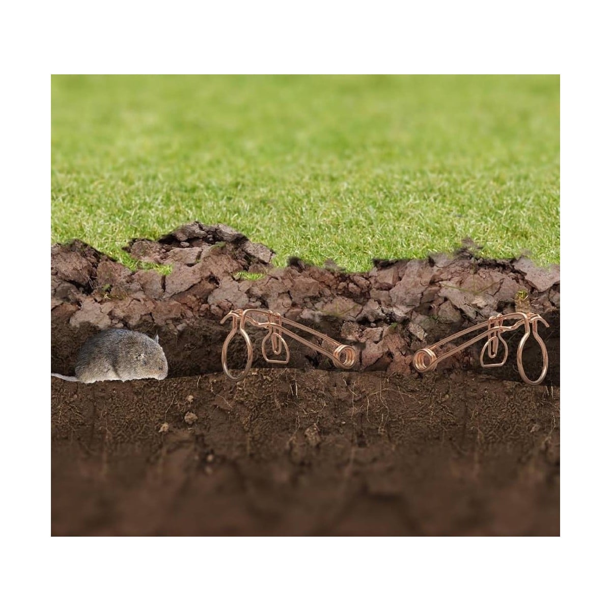 Vole Traps - Set of 4 - Very Effective and Easy to Install